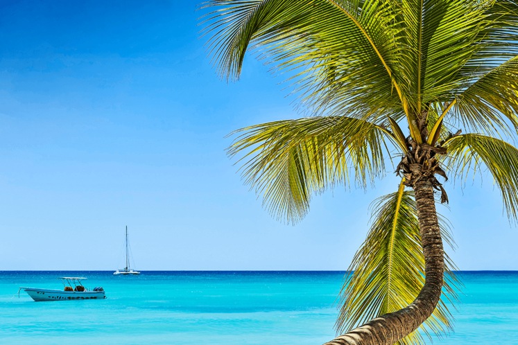 TUI Num ro 1 Mondial Du Voyage 50 Ans D expertise tui-num-ro-1-mondial-du-voyage-50-ans-d-expertise